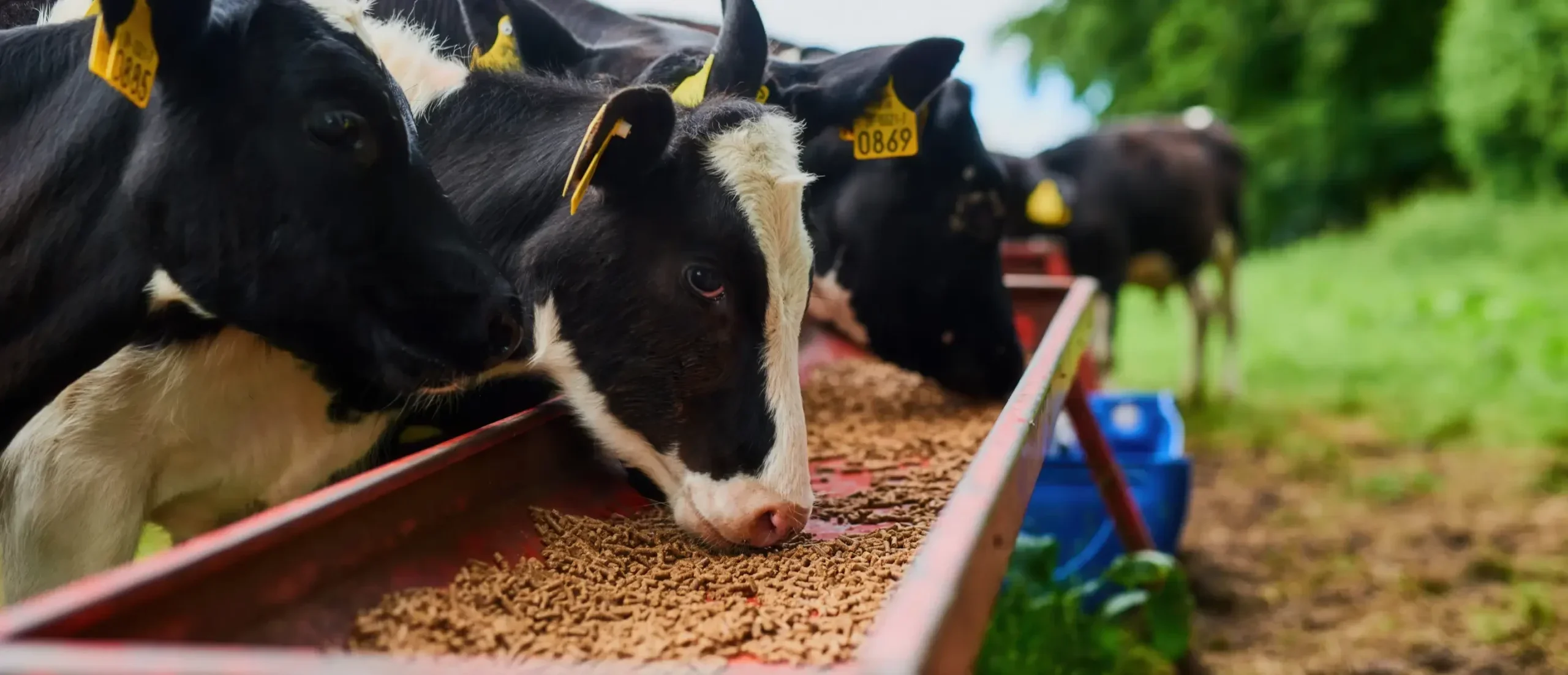 Modern food production requires modern software solutions - Nintex