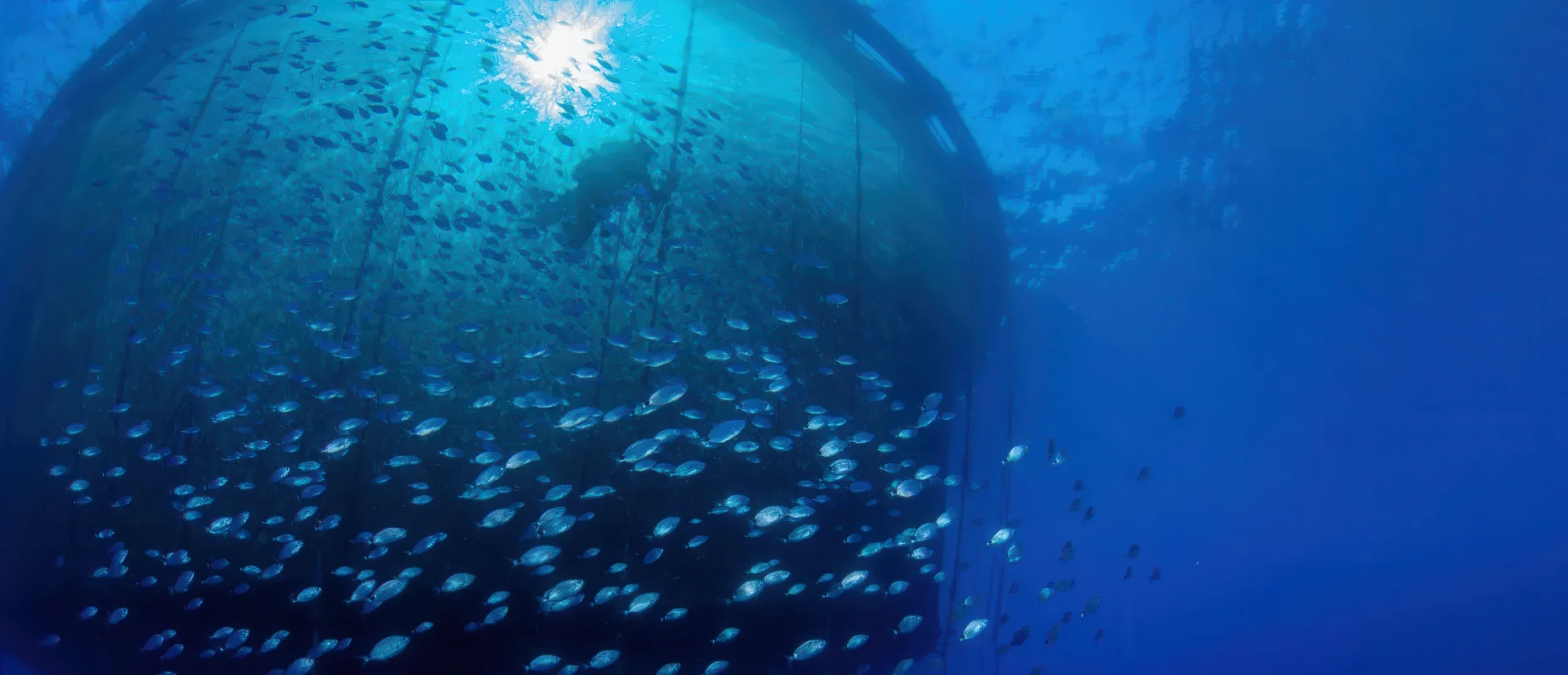 Frdc Logo Project Search | FRDC