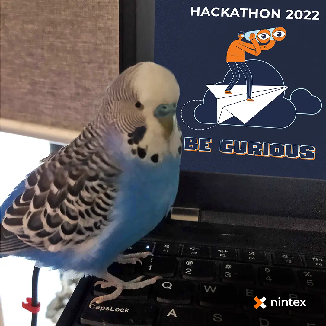 Global collab at the annual Nintex Hackathon - Nintex