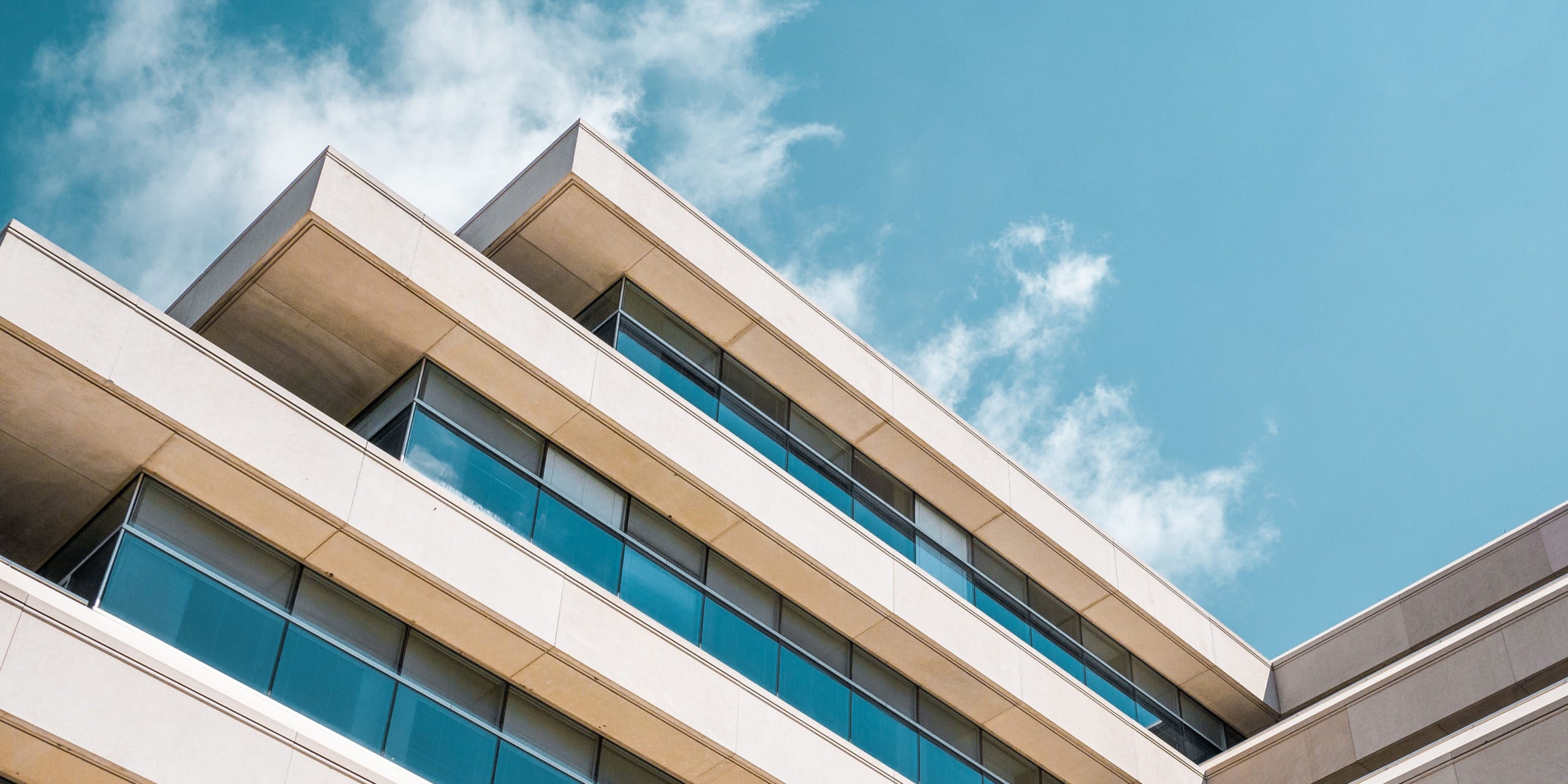 Project management vs. process management - Nintex